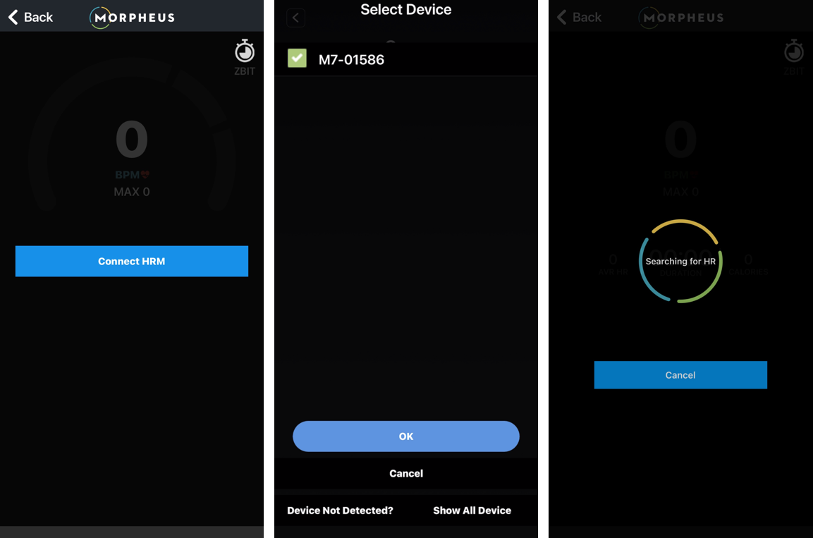 Training with Morpheus - Morpheus