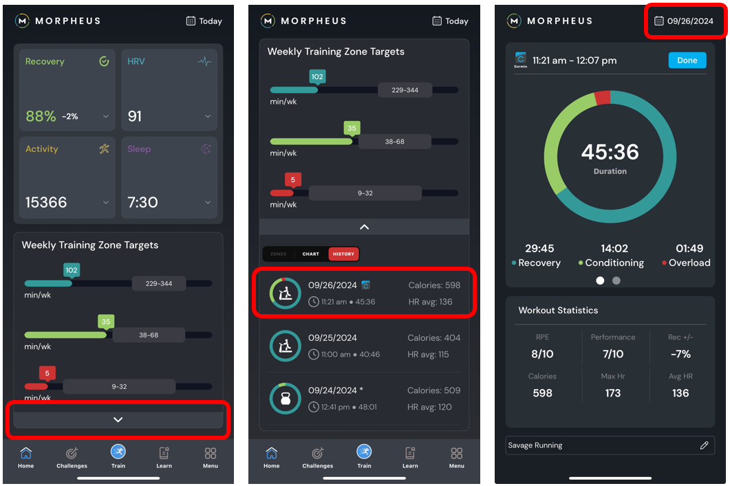 Training with Morpheus - Morpheus