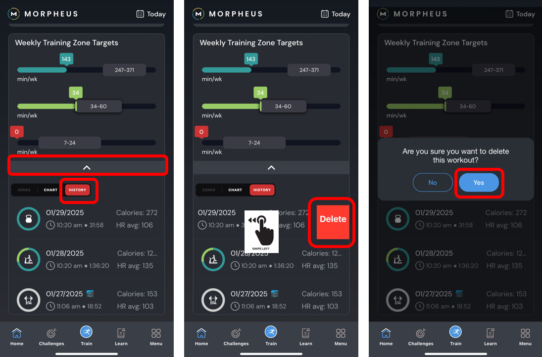 Training with Morpheus - Morpheus