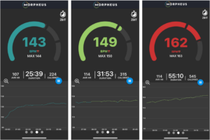 Training with Morpheus - Morpheus