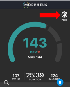 Training with Morpheus - Morpheus