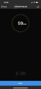 Checking your recovery - Morpheus